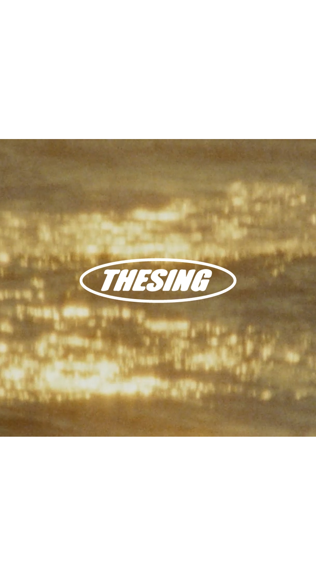 about us – THESING